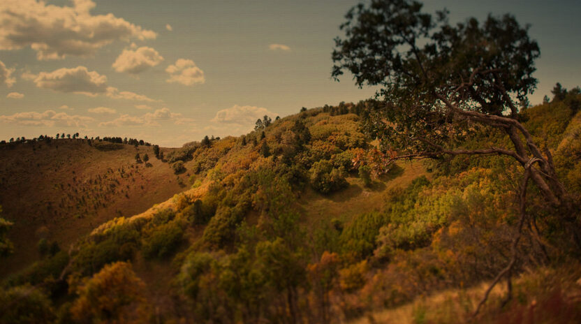 Native Workforce Partners — Our Mission and Tribal Partners